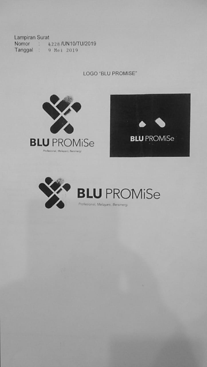 Himbauan Penggunaan Logo BLU Promise - Fakultas Ekonomi dan Bisnis ...
